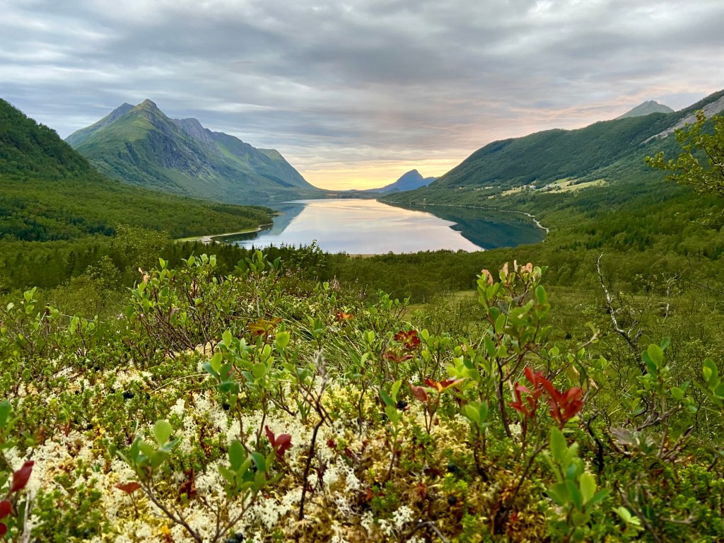 Ønsker du en uforglemmelig og opplevelsesrik Norgesferie? - TRUDE HELÉN ...