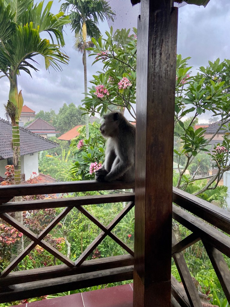Beautiful Bali - more than you think - TRUDE HELÉN HOLE